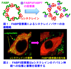 Technologies / BRIファーマ株式会社